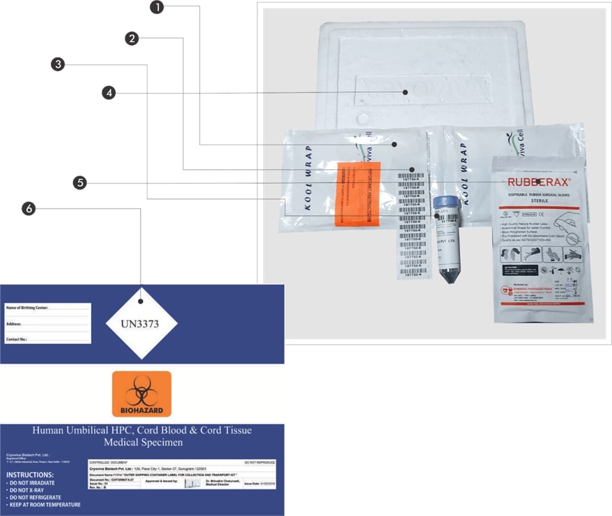 Cord Blood Collection in India | Cryoviva India